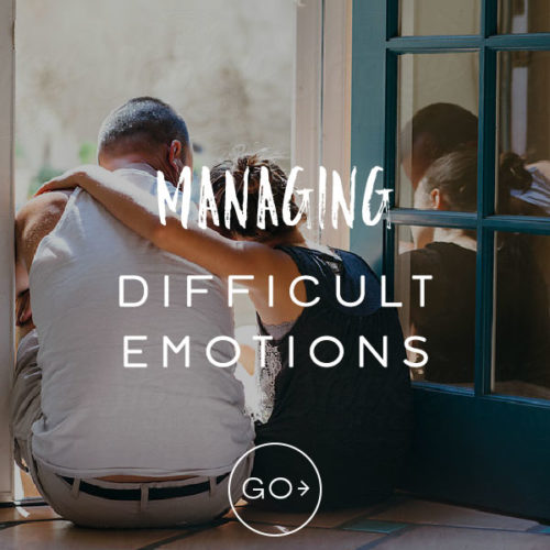 Buy Now: Managing Difficult Emotions Course